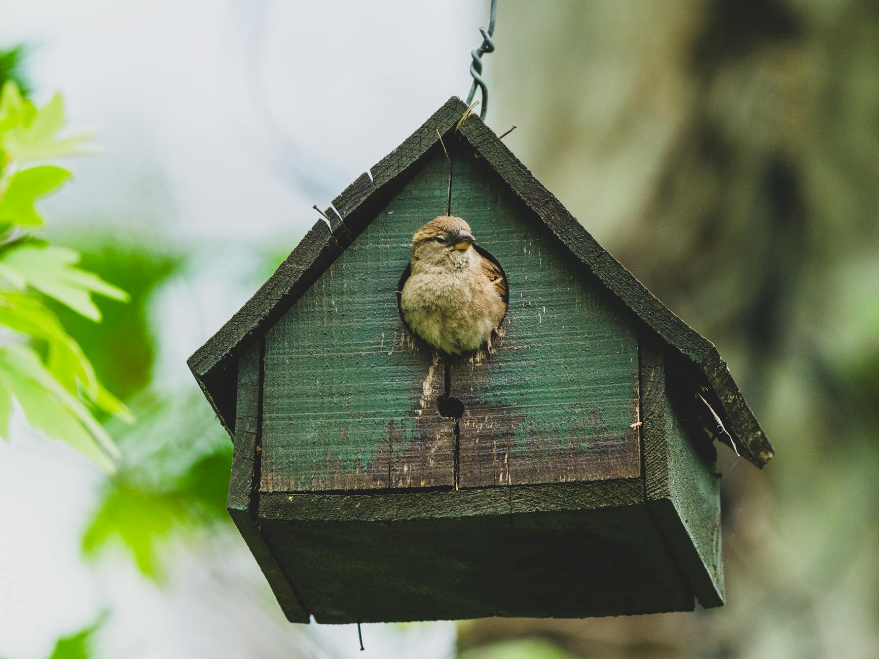 win2008 如何设置iis - 数字前站